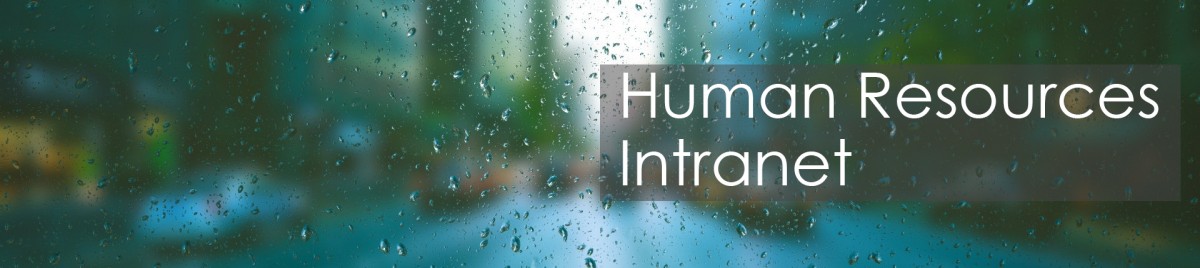 Human Resources Intranet - The HR Company